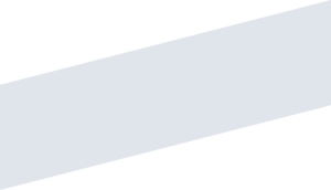 Hahn Premium Light - HAHN